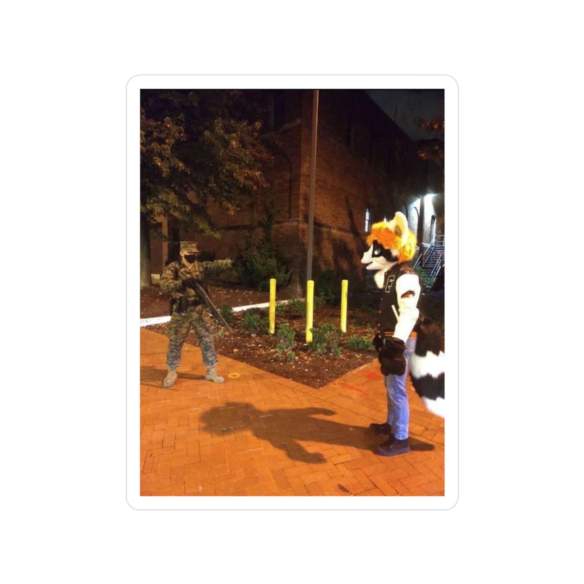 No Furries Allowed STICKER – Blue Falcon Awards